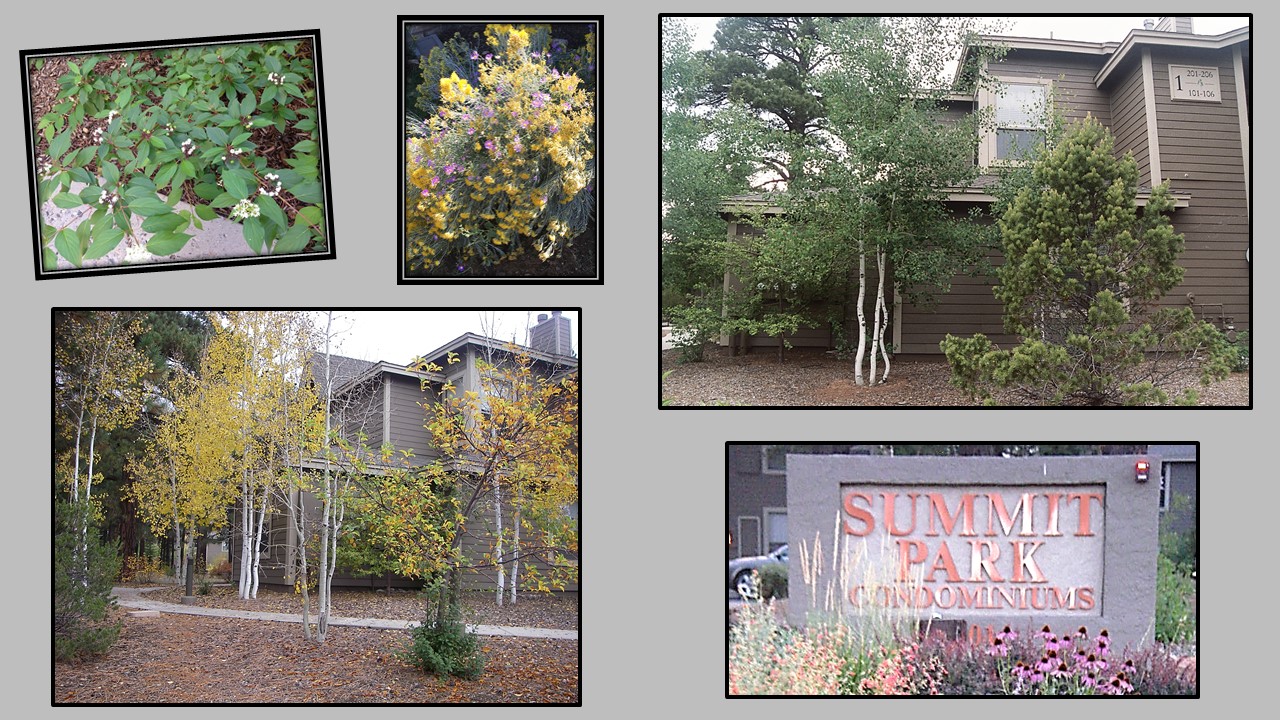 Photos – SUMMIT PARK CONDOMINIUM ASSOCIATION